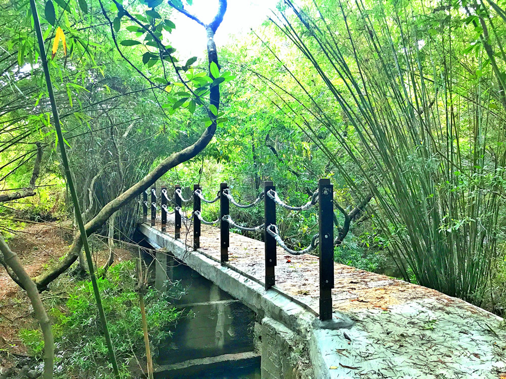 Hong Kong Fun in 18 Districts - Double Haven Country Trail (from Wu Kau ...