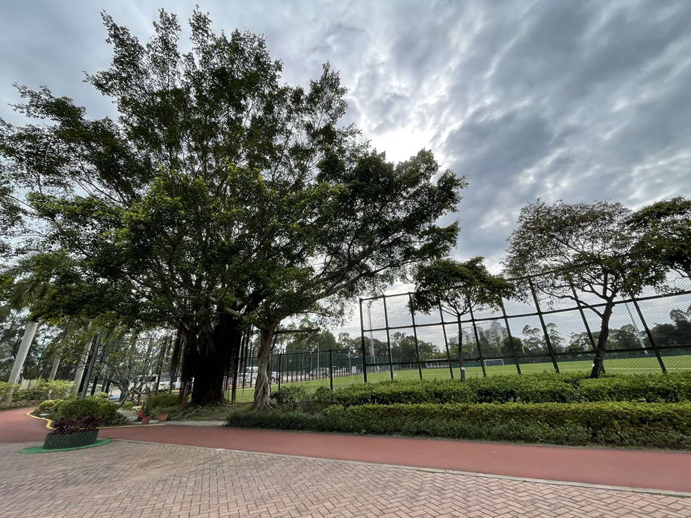 Hong Kong Fun in 18 Districts - Sai Tso Wan Recreation Ground